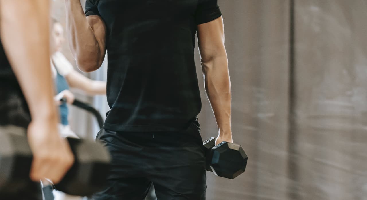 Working out with dumbbells and own weight at home: a circular program ...